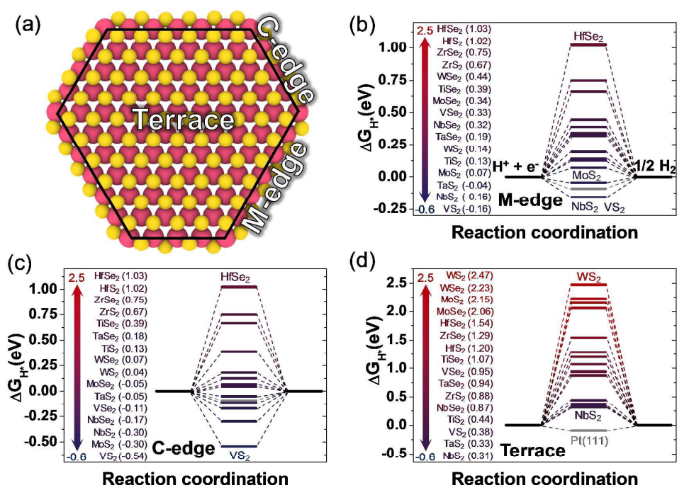 VASP电池计算专题培训：Li离子电池/燃料电池/电位/容量/离子扩散/析氢反应/氧还原反应/自由能/过电位 | 华算科技