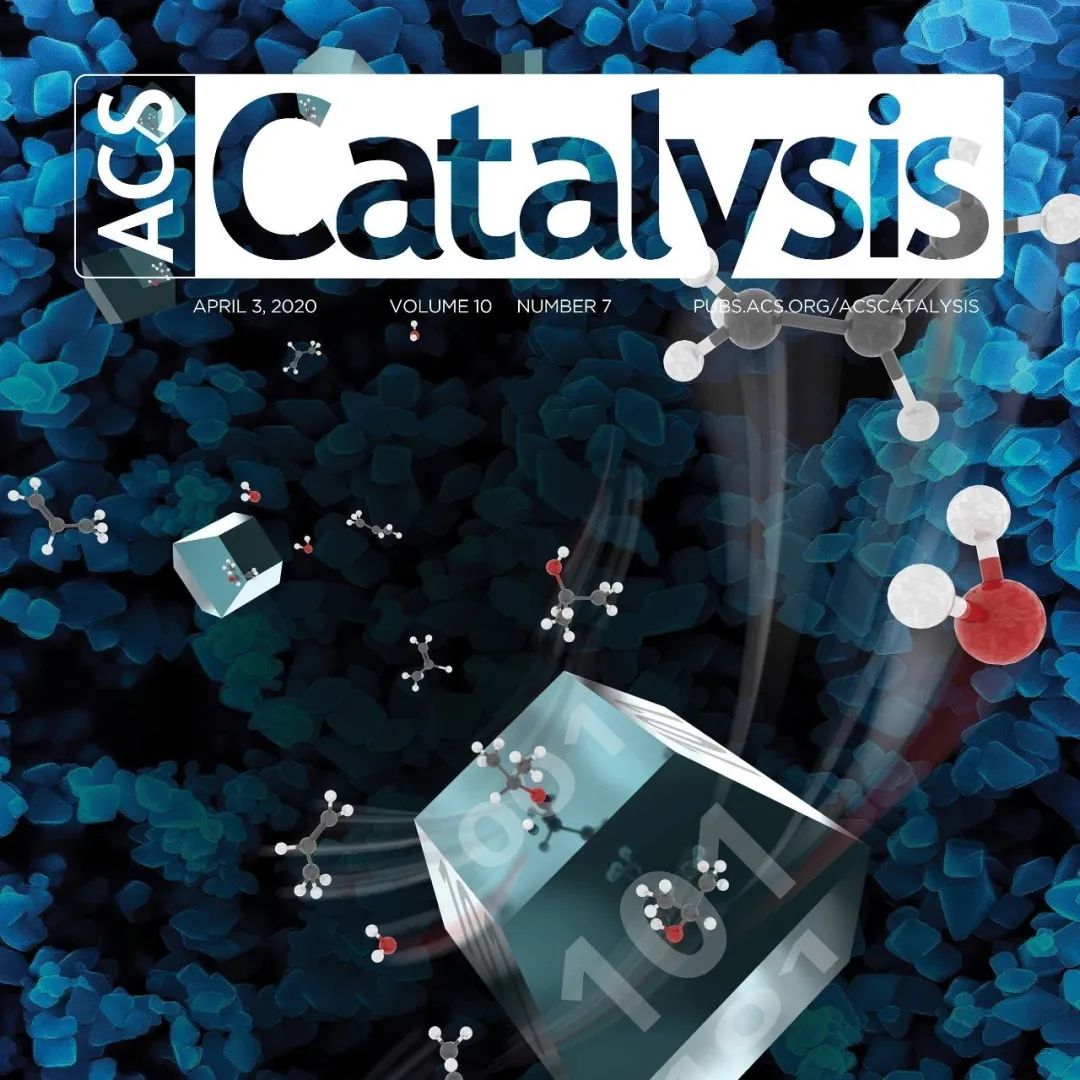 郭少军/许审镇ACS Catalysis：Se空位加上Ni取代，助力CoSe2高效电合成腈并产生氢气 | 华算科技