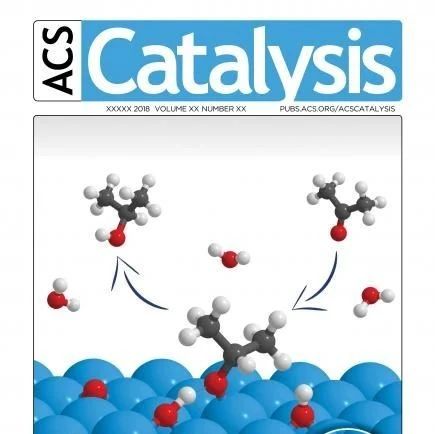 ACS Catal.：Pt-Ni纳米线作为ORR电催化剂在电位循环中向分支纳米结构的结构转变 - 华算科技