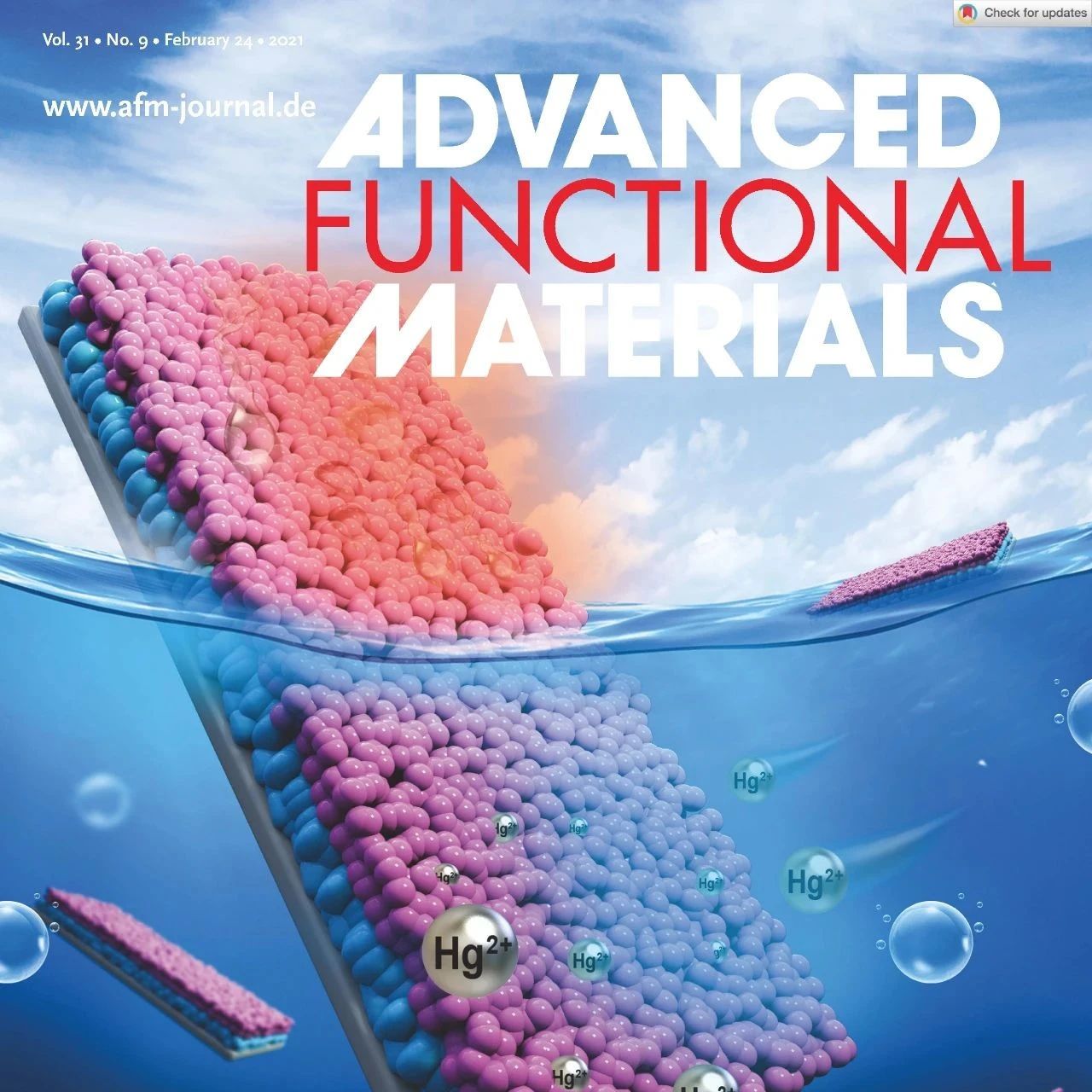 浙工大/南师大/南洋理工AFM：Fe-O-Ni/Co结合MOF基预催化剂实现高效析氧 | 华算科技