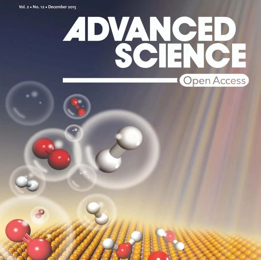 苏大/柏林工大Adv. Sci.：硒空位起大作用，助力NiSe2-VSe高效稳定电催化O2转化为H2O2 | 华算科技