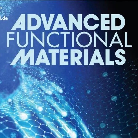 AFM: 充满1D FeNi-MOF的亚2 nm 2D FeNi LDH纳米片增强析氧电催化 | 华算科技