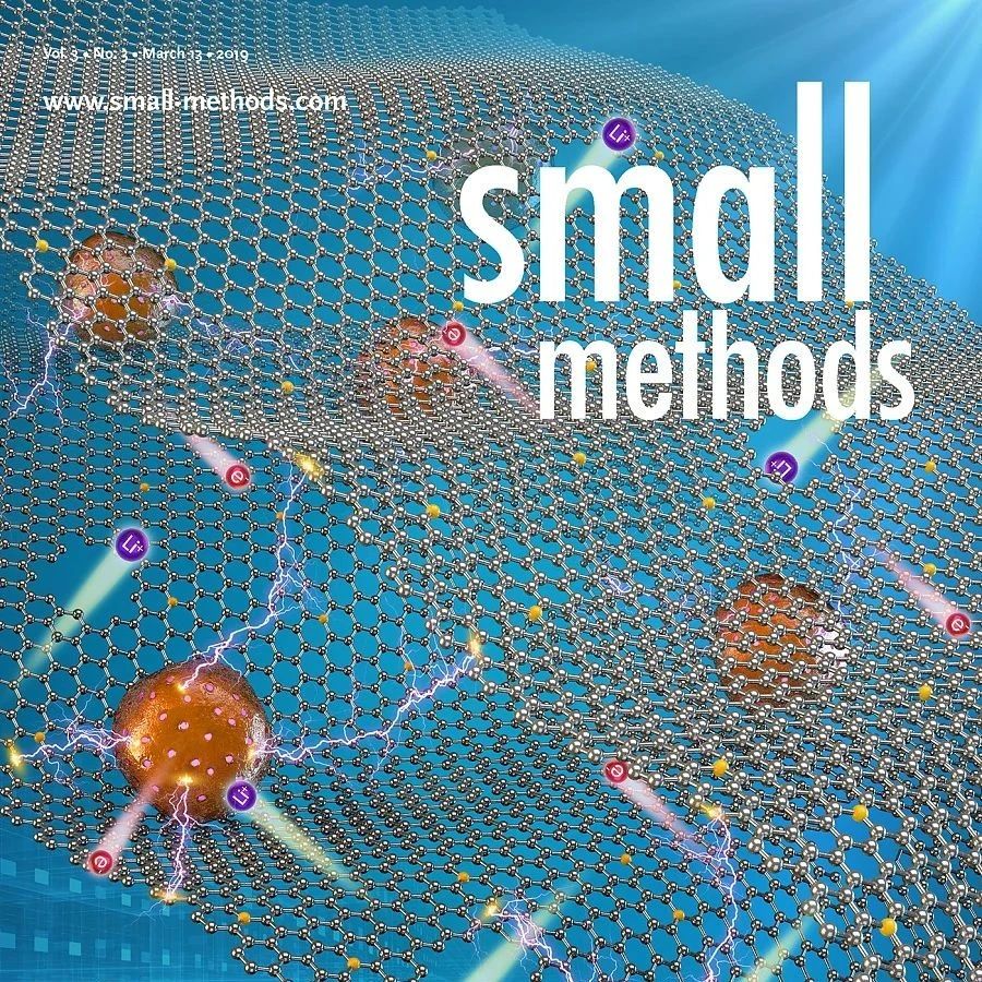 上交杨军Smalll Methods: N掺杂C封装的SnSe2/FeSe2纳米立方体实现超高速率稳定的钠离子存储 | 华算科技