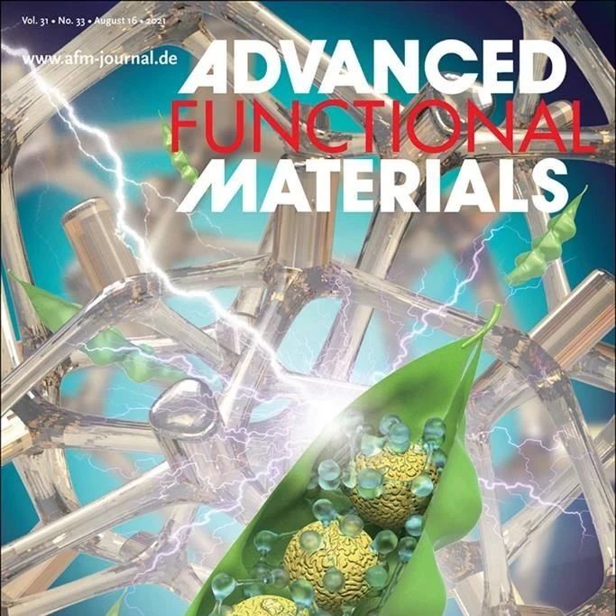 Andreu Cabot/侴术雷AFM：碘掺杂Bi2Se3纳米片作为锂硫电池的新型硫主体 | 华算科技