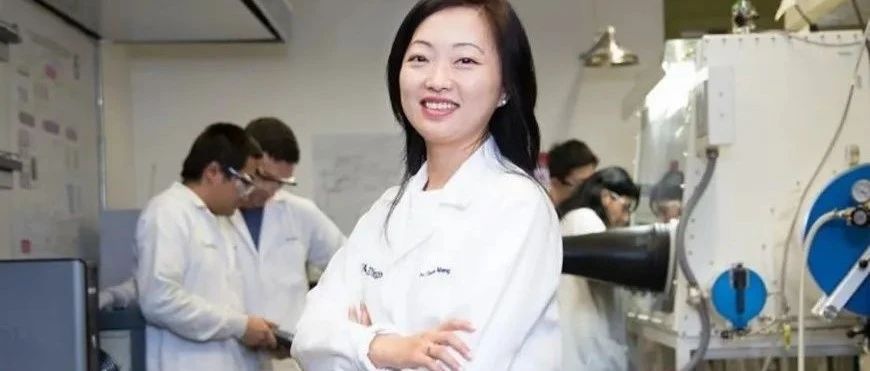 Maria Forsyth/孟颖EES: 基于醚类辅助离子液体电解质实现高压锂金属电池 | 华算科技