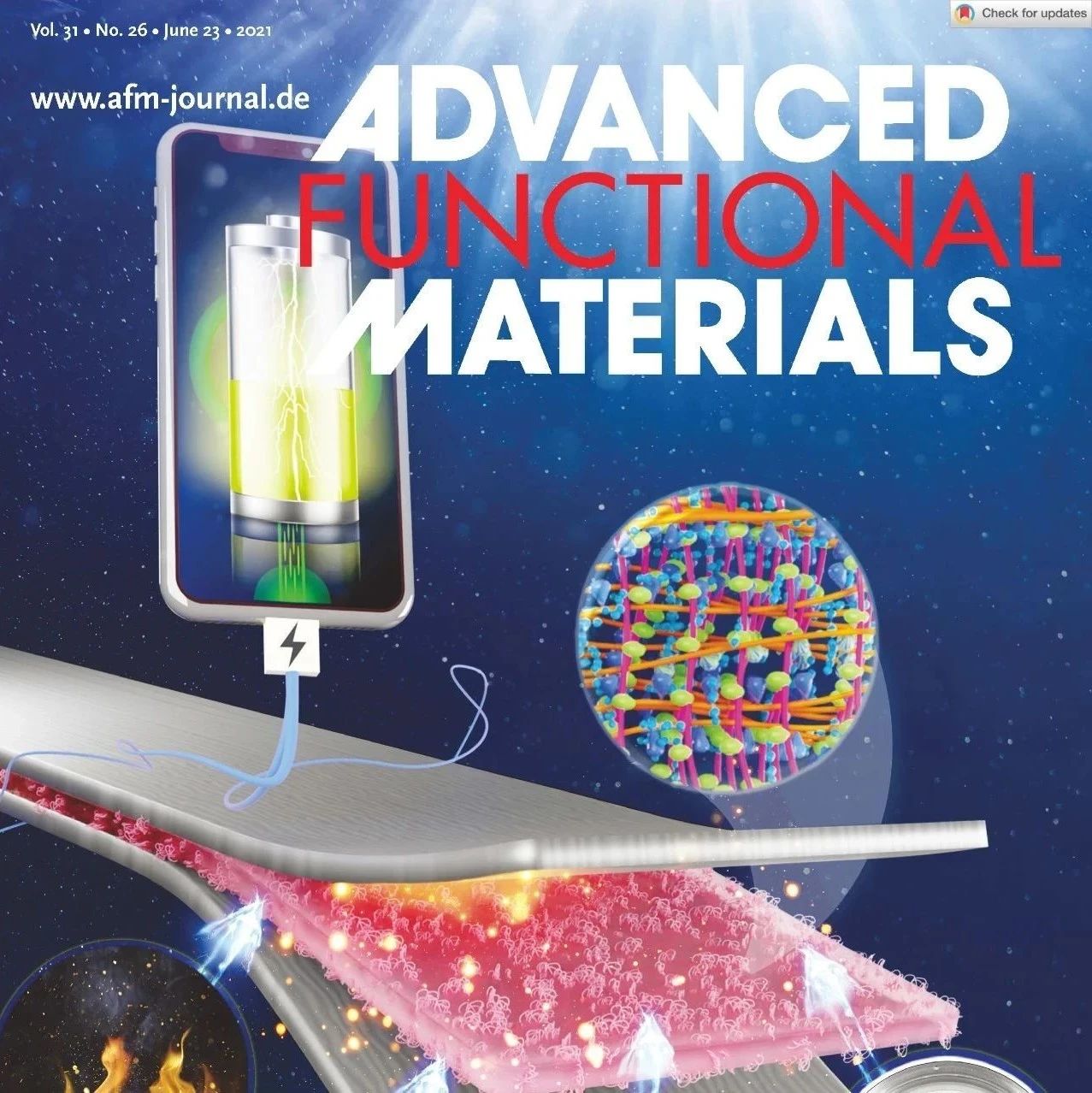 厦大周尧/李君涛AFM：P掺杂二维碳作为宿主实现无穿梭效应Zn-I2电池 | 华算科技