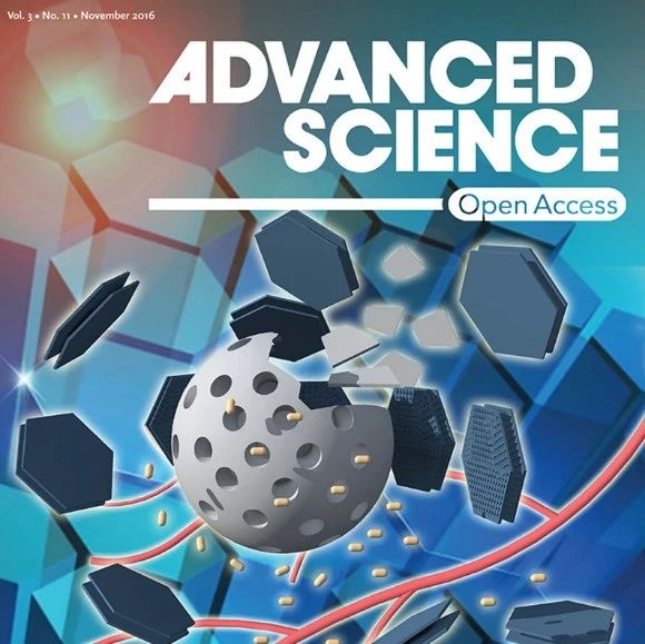 苏大Adv. Sci.：带正电Pt基纳米反应器助力高效稳定HER | 华算科技