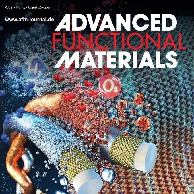 浙大侯阳AFM: 高电流密度下动态质子转移加速电化学CO2还原 | 华算科技