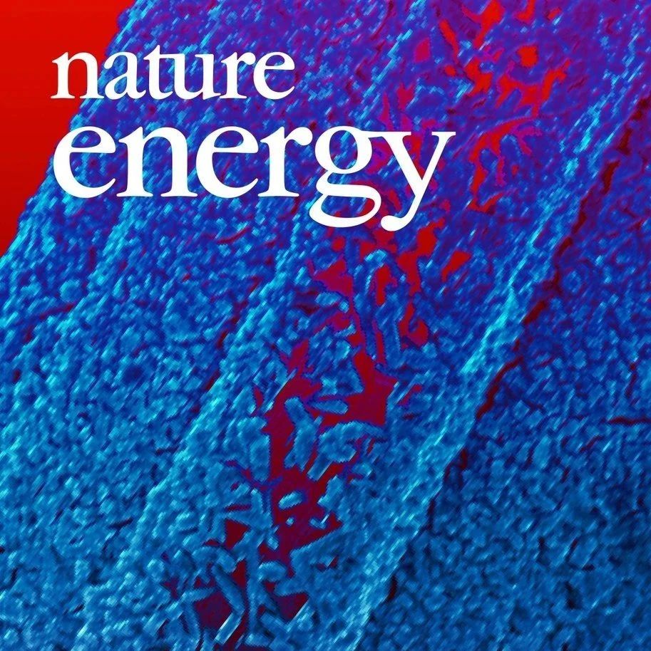 庄林&王功伟等，最新Nature Energy！ | 华算科技