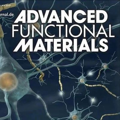 AFM：基于Ti3C2Tx-MXene纳米片和水合钒酸铵纳米带的无锌负极 | 华算科技