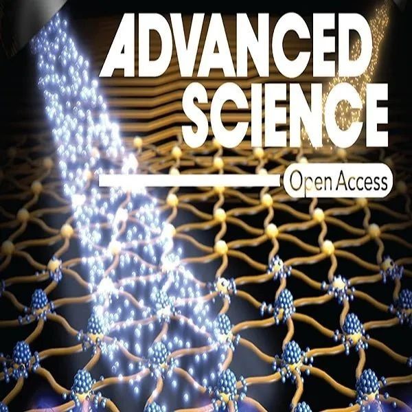 南科大Adv. Sci.: 3D打印立大功！打印出Ti64基晶格电催化剂用于稳定析氧 | 华算科技