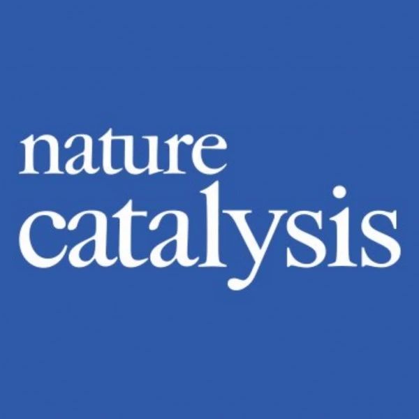 Nature Catalysis综述：多碳产物向CO2RR-催化剂及电解质设计策略 | 华算科技