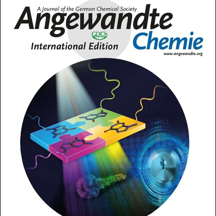 郭再萍/王澳轩等，最新Angew！Mg-CO2电池新突破！ | 华算科技