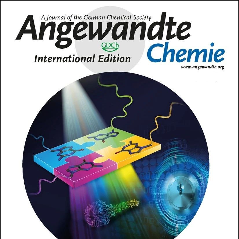 Angew：CO2还原的分子抑制促进甲酸盐选择性 | 华算科技