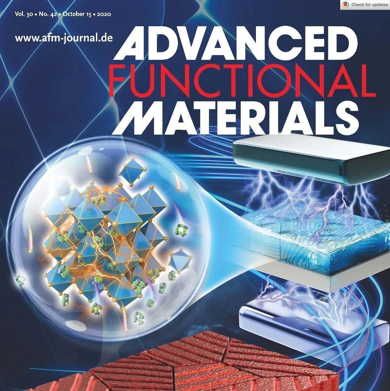 杜星/董际臣AFM：调节双金属NiFe-THQ电子结构，提高OER催化活性 | 华算科技