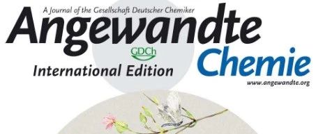 化学所郭玉国/辛森，最新Angew！无惧“零”下！固态Li-S电池实现高性能 | 华算科技