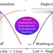 曹昌燕/马丁/于小虎JACS：加氢反应中单原子密度诱导的Sabatier现象 | 华算科技