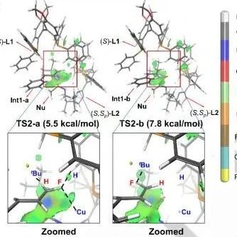 张万斌等 Angew：Pd/Cu/Li三元体系助力合成氟化氨基酸！ | 华算科技