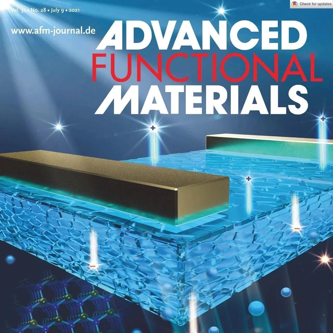 广西大学AFM：用于高效光催化CO2还原的氮化碳双原子Rh催化剂 | 华算科技