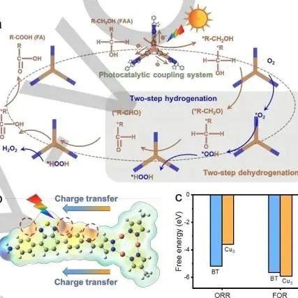 【DFT+实验】华南师大/南师大Angew：近100%转化率和选择性！Cu3-BT-COF助力H2O2光合作用和FFA光氧化 | 华算科技