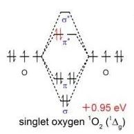 【DFT+实验】Angew.：1O2-N/C助力高效ORR | 华算科技