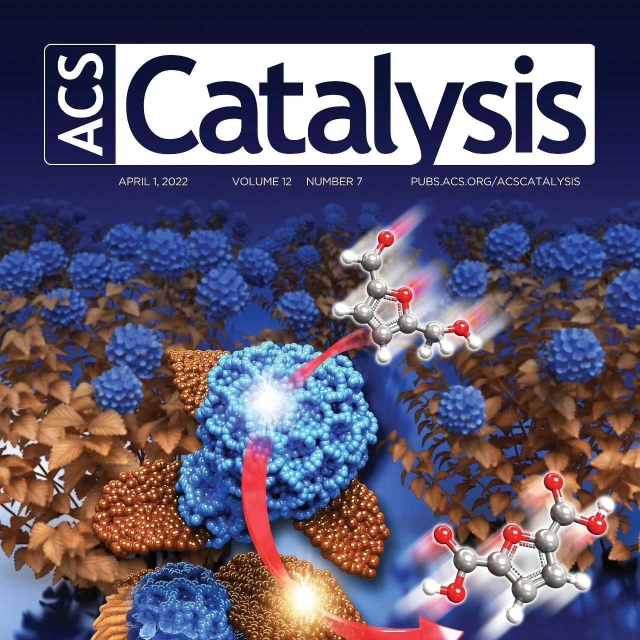 ACS Catalysis：MXenes上负载Bi单原子实现协同催化CO2加氢 | 华算科技