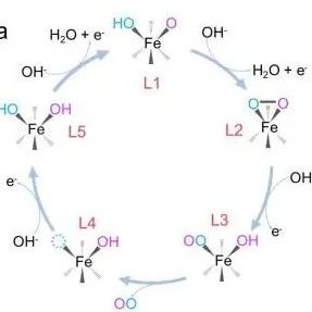 【DFT+实验】Angew.：d-NiFe-LDH实现高效稳定的水氧化 | 华算科技