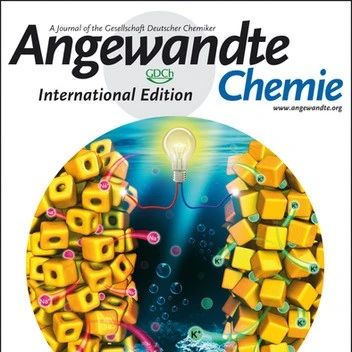 厦门大学Angew.：加氢揭示致密Fe-N4活性位点的低温组装 - 华算科技