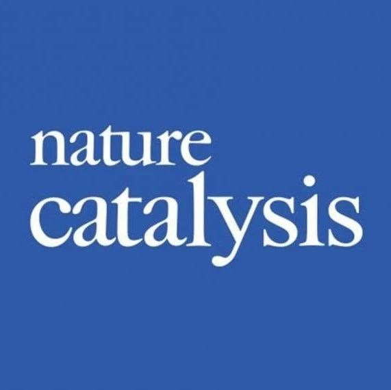 他，手握26篇Nature正刊，刚发表第18篇Nature Catalysis！ | 华算科技