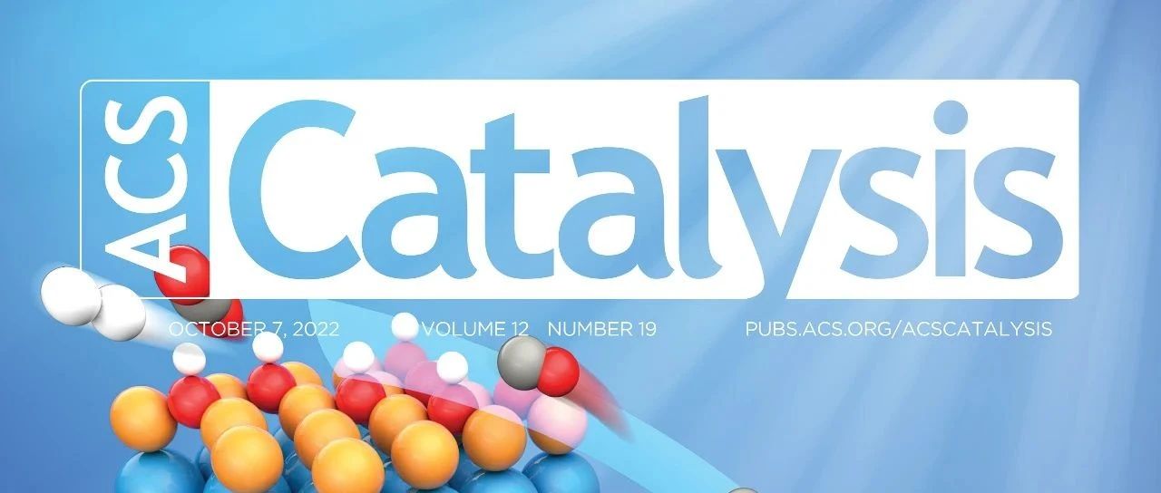 ACS Catalysis：Fe–N–C催化OER/ORR中自旋态演化的影响 - 华算科技