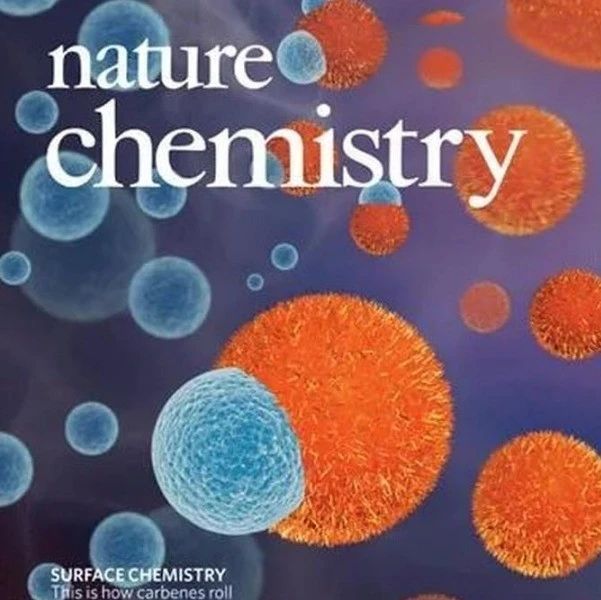 华科，最新Nature Chemistry！重大发现！ | 华算科技