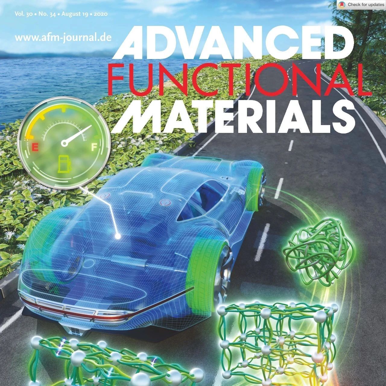 港城大/苏科大AFM: S改性Bi4O7纳米片，促进CO2电还原为甲酸盐 | 华算科技