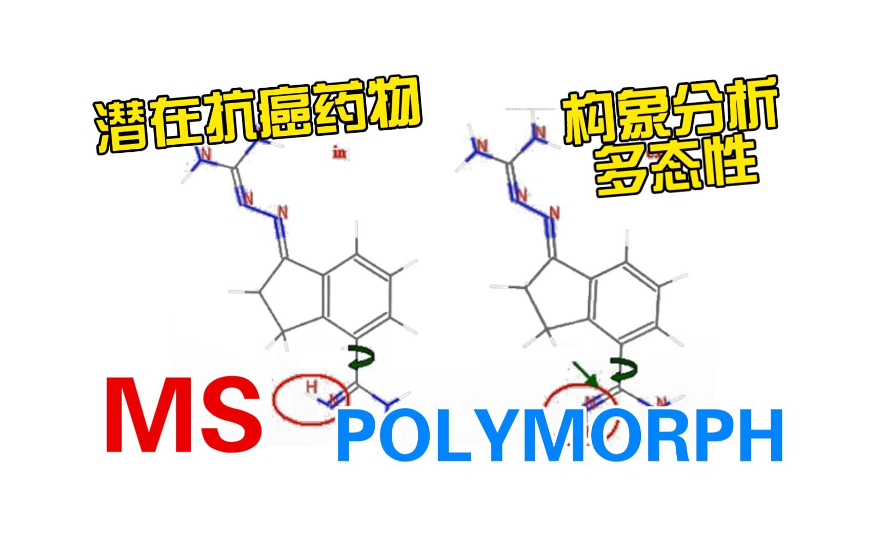 [Materials Studio] POLYMORPH模块教学-利用构象分析预测潜在抗癌药物的多态性-2 | 理论计算 华算科技 MS杨站长 ...